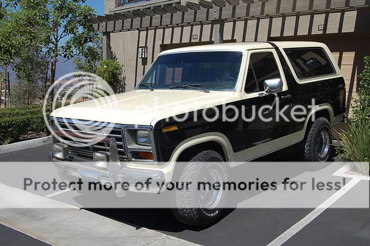 My 84 XLT | Bronco Forum - Full Size Ford Bronco Forum