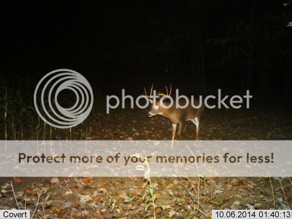 definition of a ghost buck...buck that just showed up on buddy's trail ...